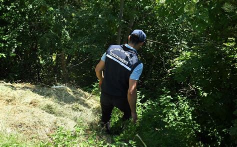 Disparition dÉmile le sondage dun plan deau au Vernet na rien