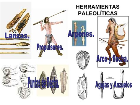 El paleolítico SocialHizo