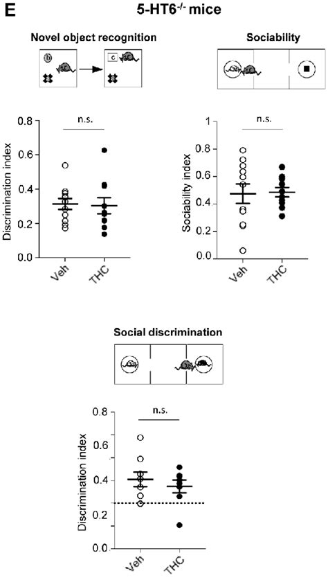 E The Authors Correct The Labeling Of The Y Axis In The Bottom Panel