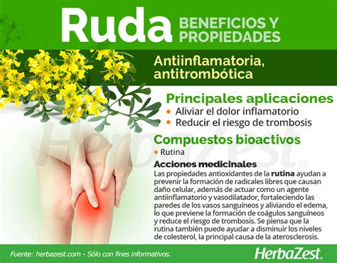 Ruda HerbaZest