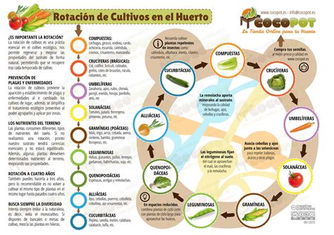 Rotación de cultivos
