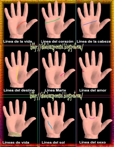 Amor Amor El Significado De Las L Neas De Las Manos Y C Mo L