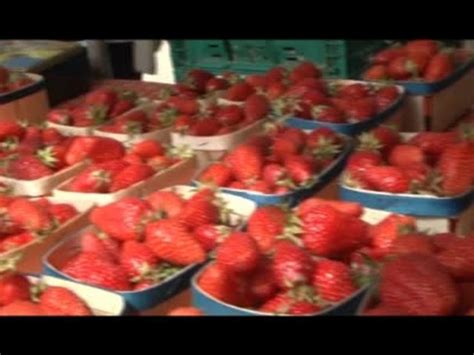 Fête de la Fraise 2012 de Velleron Vidéo Dailymotion