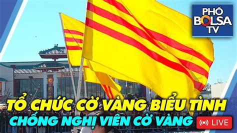 LIVE Tổ chức cờ vàng chống Cộng biểu tình phản đối dân cử cờ vàng