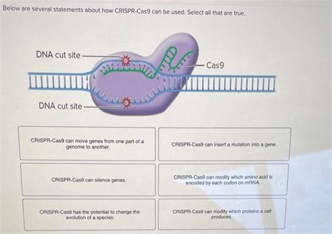 Solved Below Are Several Statements About How CRISPR Cas9 Chegg