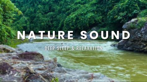 Beautiful Relaxing Music Calm Piano Music Water Sound With Birds