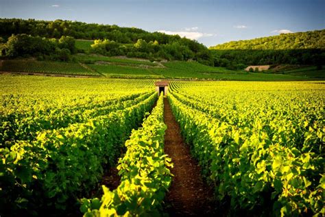 Les Plus Beaux Endroits De France Visiter Absolument Splendia