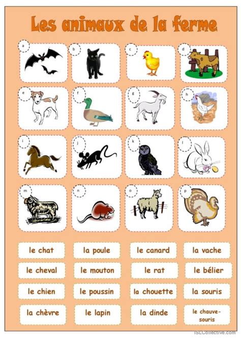 Animaux Fran Ais Fle Fiches Pedagogiques Pdf Doc