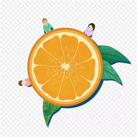 卡通手绘黄色的橙子PNG图片素材下载 图片编号gqbngeaq 免抠素材网