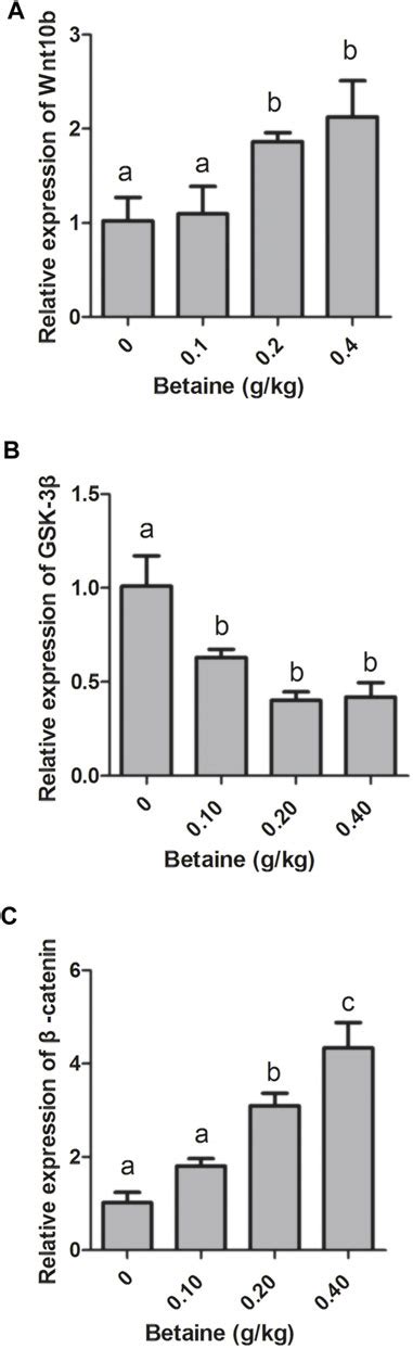 Frontiers Betaine Regulates The Production Of Reactive Oxygen Species