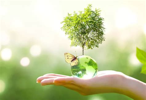 Consommation dénergie maîtriser son impact environnemental