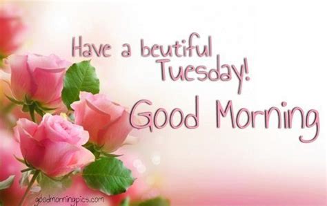 Have A Beautiful Tuesday Good Morning Pictures Photos And Images For