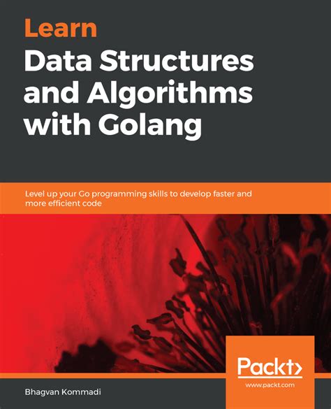 learn data structures and algorithms with golang ebook programming