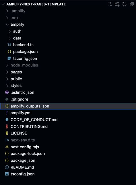separate frontend and backend teams aws amplify gen 2 documentation