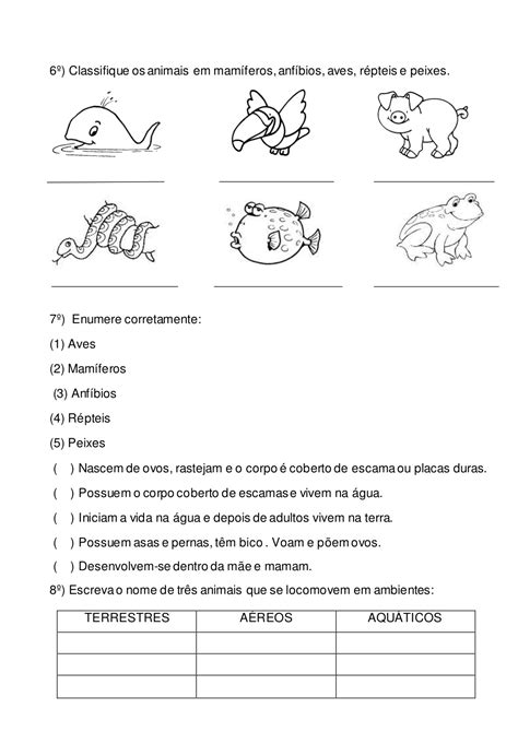 Atividade Sobre Animais Vertebrados E Invertebrados Ano