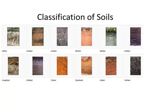 Types Of Soil Chart