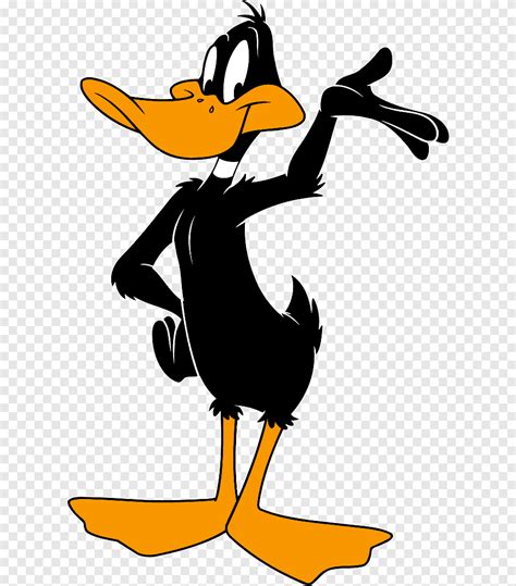 Daffy Duck Bugs Bunny Donald Duck Porky Pig Ducks phim hoạt hình hoạt