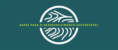 Amaz Nia As Bases Para O Desenvolvimento Sustent Vel Amz