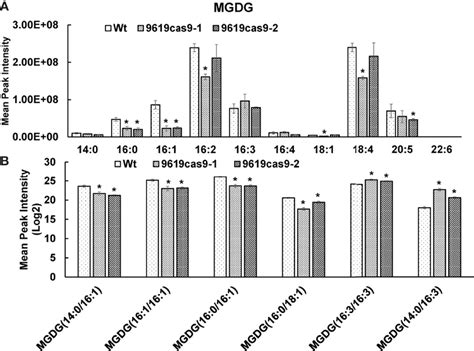 Frontiers Functional Characterization Of The