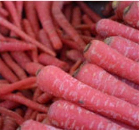 A Grade Maharashtra FRESH CARROT Packaging Type Carton Packaging