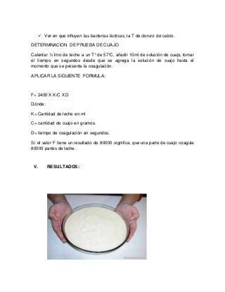 Qué es el cuajo y de dónde se extrae Enterate Delicias
