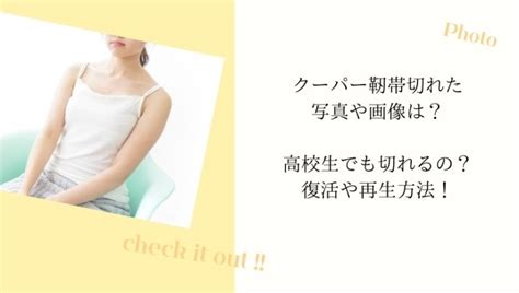 クーパー靭帯切れた写真や画像は？高校生でも切れるの？復活や再生方法！ 宮ちゃんのナイトブラ