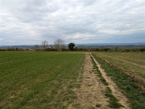 Yorks E Mids Walks Slingsby Yorkshire And East Midlands British