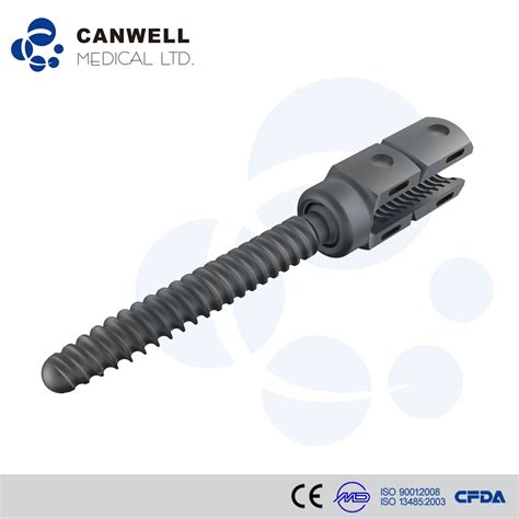 Posterior Pedical Canwell Anterior De La Columna Vertebral Lumbar
