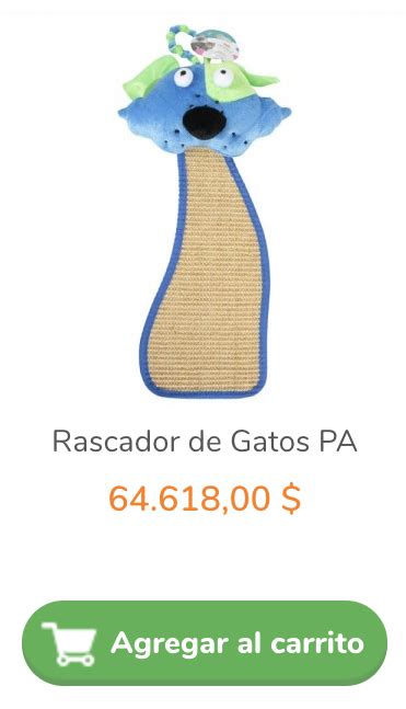 Cómo educar un gato Nuestros 5 tips Blog Agrocampo Colombia