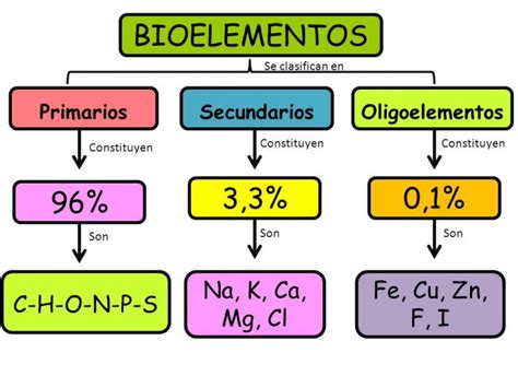 Do Secundaria Bioelementos Y Niveles De Organizacion De La Materia Viva