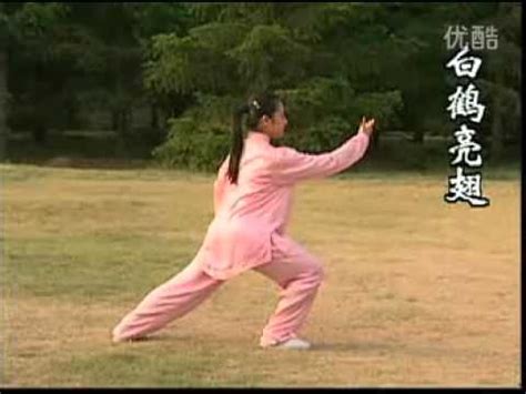 24 Form Tai Chi Demonstration Back View Master Amin Wu Doovi