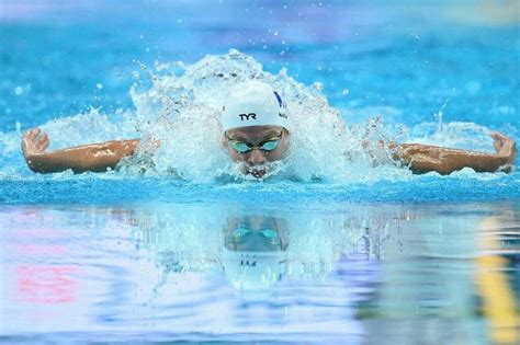 JO 2024 Natation Le programme complet des épreuves Sport Caen