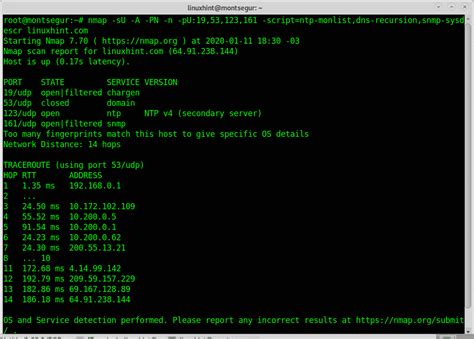 Nmap Scan Specific Udp Port