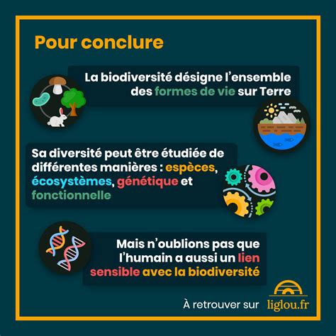 Définition s de la biodiversité L iglou