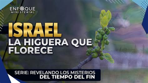 Israel La Higuera Que Florece Serie Revelando Los Misterios Del