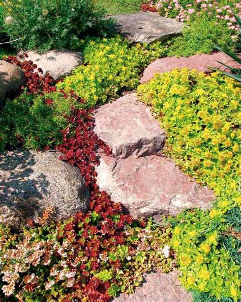 Steingarten Grosse Felsen Bodendecker Farbe Rock Garden Design Urban