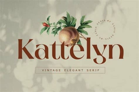 25 Modern Elegant Fonts With Classy Designs Theme Junkie