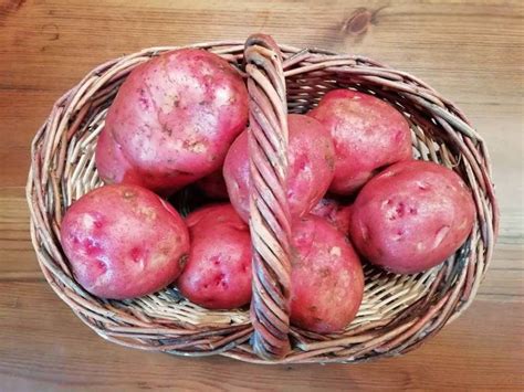 Qué cocinar según el tipo de patata