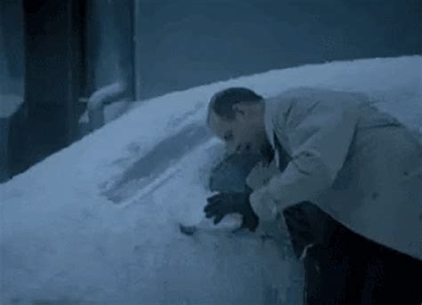 Snow Find Share On GIPHY
