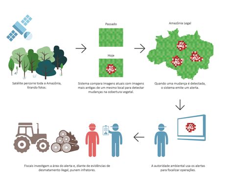 Brasil Precisa Aprofundar Monitoramento Ambiental