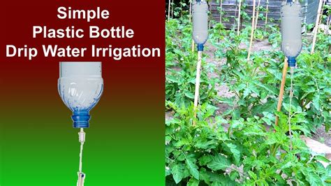 Homemade Drip Irrigation Bottle Homemade Ftempo