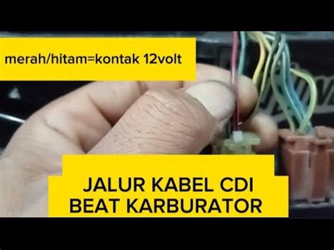 Jalur Kabel Cdi Motor Beat Karburator Jalurkabelcdibeat Youtube