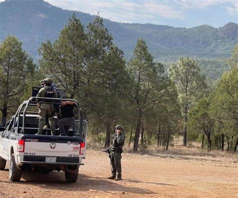 Enfrentamiento Deja 8 Muertos En Guachochi Chihuahua