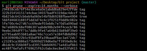 How To Use Git Prune C Ng Ng Linux