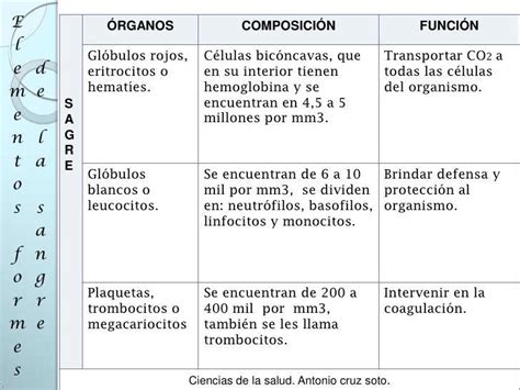 Cuadro Comparativo De Los Componentes De La Sangre Ej Globulos Rojos