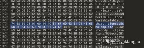 java 反序列化回显链研究：漏洞检测工程化 知乎