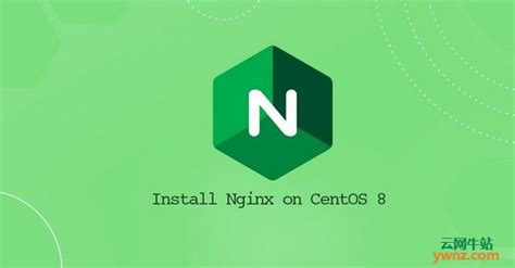 centos8安装nginx centos 8安装ng命令 csdn博客