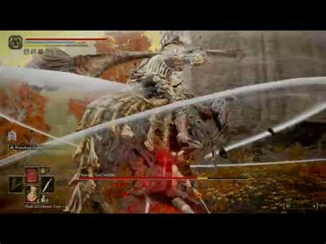 ELDEN RING Malenia Vs Draconic Tree Sentinel YouTube