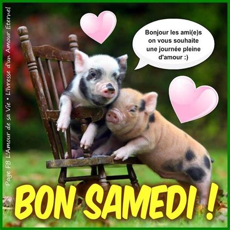 Humour Image Bonjour Samedi HumourOp
