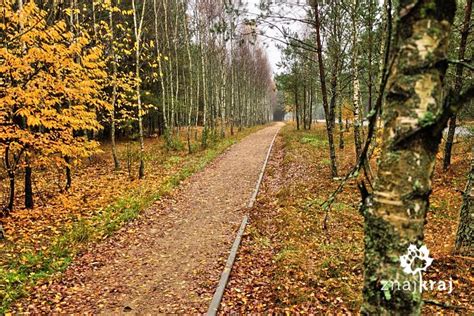 wycieczka Kaszubska Marszruta długi weekend w Borach Tucholskich